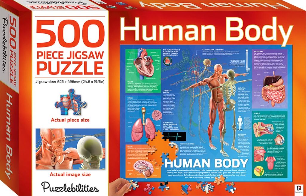Human Body Jigsaw – Getretro